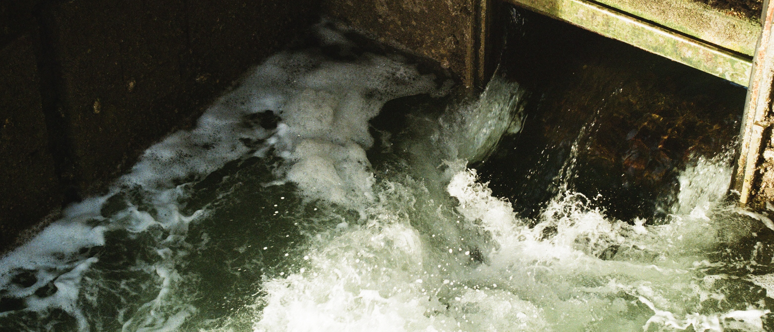 antonin-geslin (Antonin Geslin Dugué) · GitHub