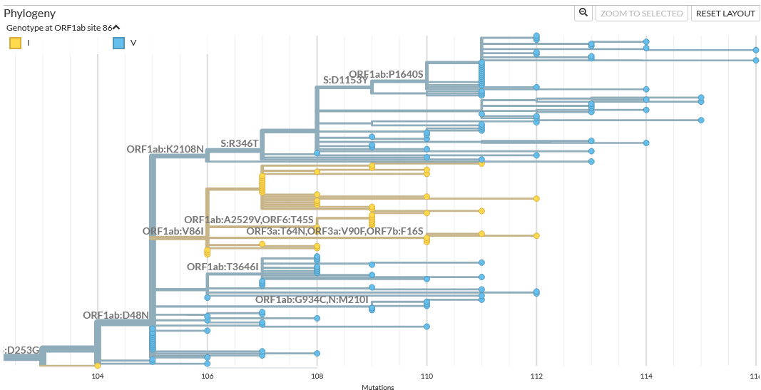 XAY.1 sublineage with ORF1a:V86I (48 seq. Slovenia, Germany, Croatia, US) · Issue #1553 · cov ...