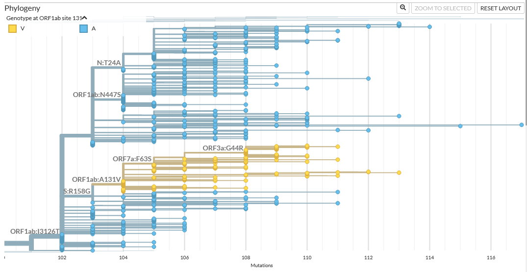 XAY.2 sublineage with ORF1a:A131V (>150 seq, mainly Denmark) · Issue #1896 · cov-lineages/pango ...