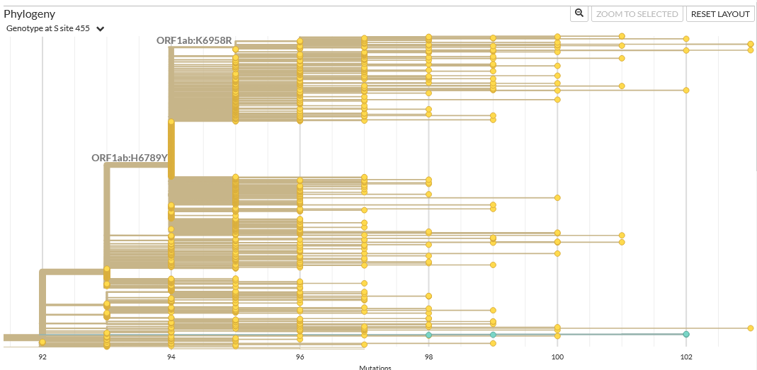 XBB.1.5 sublineage with C14085T, C19488T, and C6896T (>1000 seq, >80% in Amazonas, Brazil) and a ...