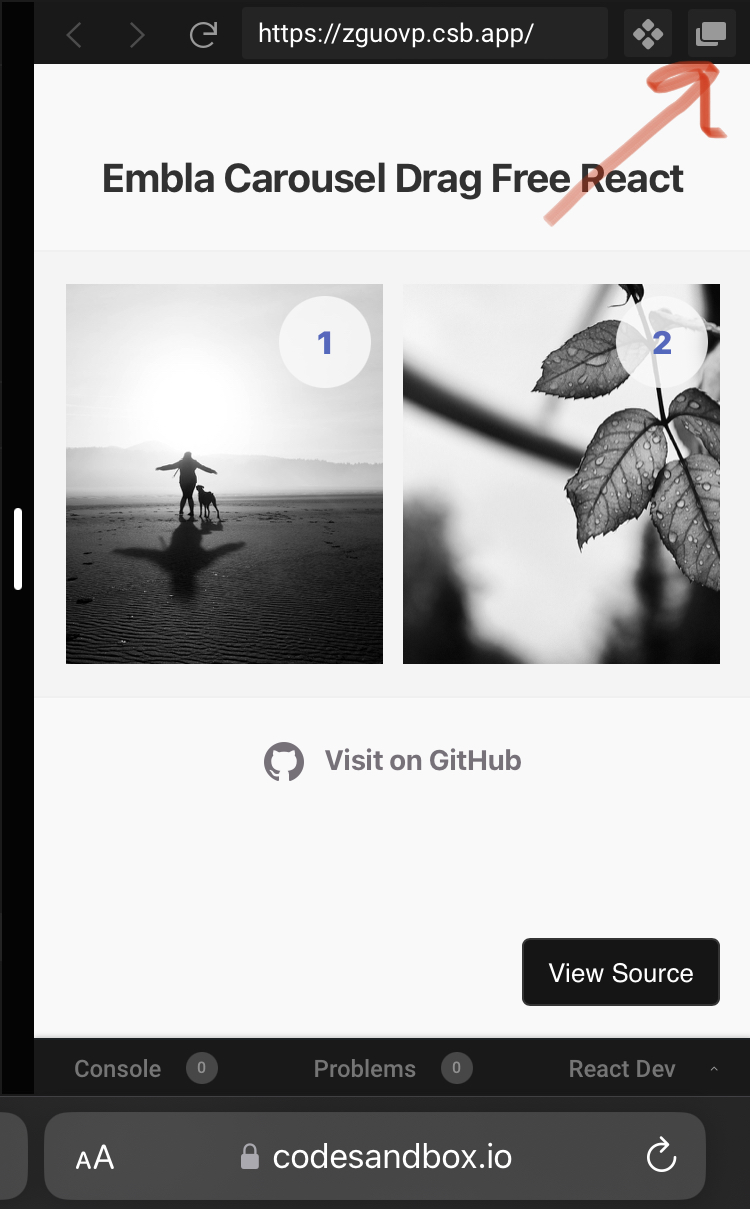Uncaught "ResizeObserver loop limit exceeded" · Issue #488 · davidjerleke/embla-carousel · GitHub