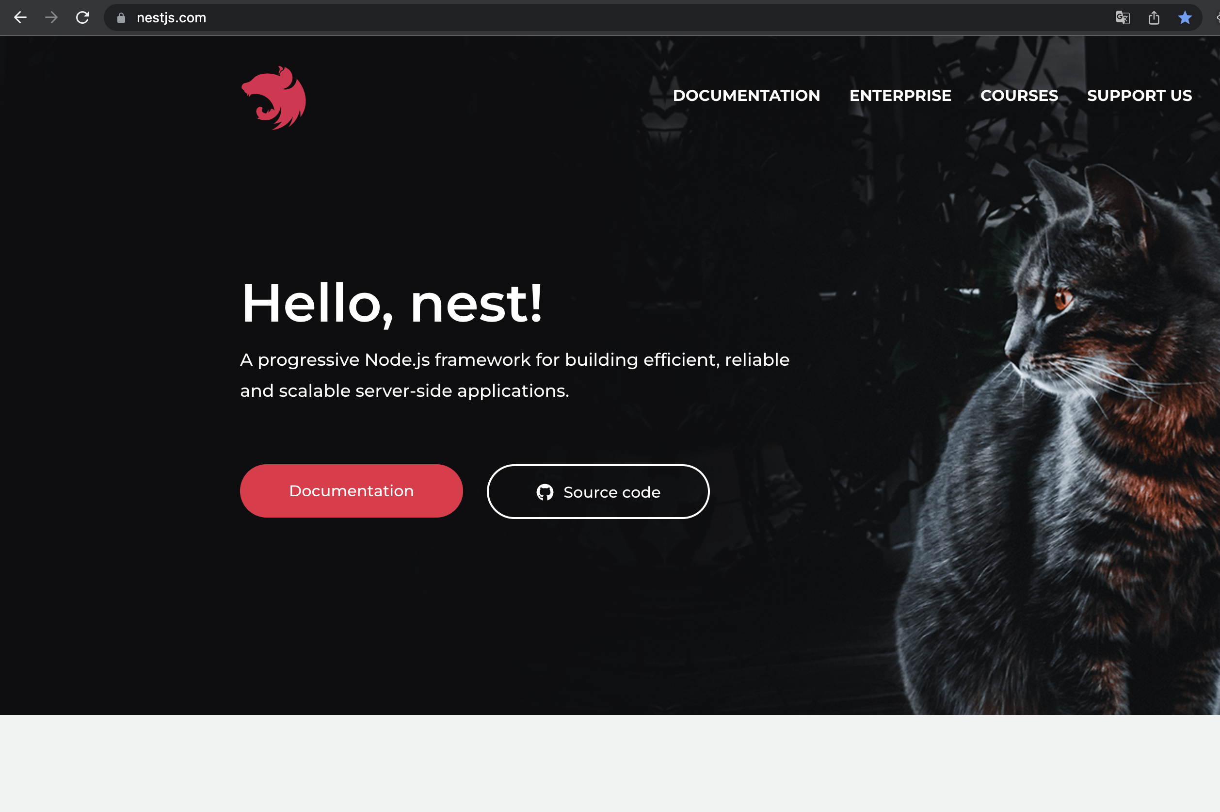 nestjs.com can’t be reached · Issue #2411 · nestjs/docs.nestjs.com · GitHub