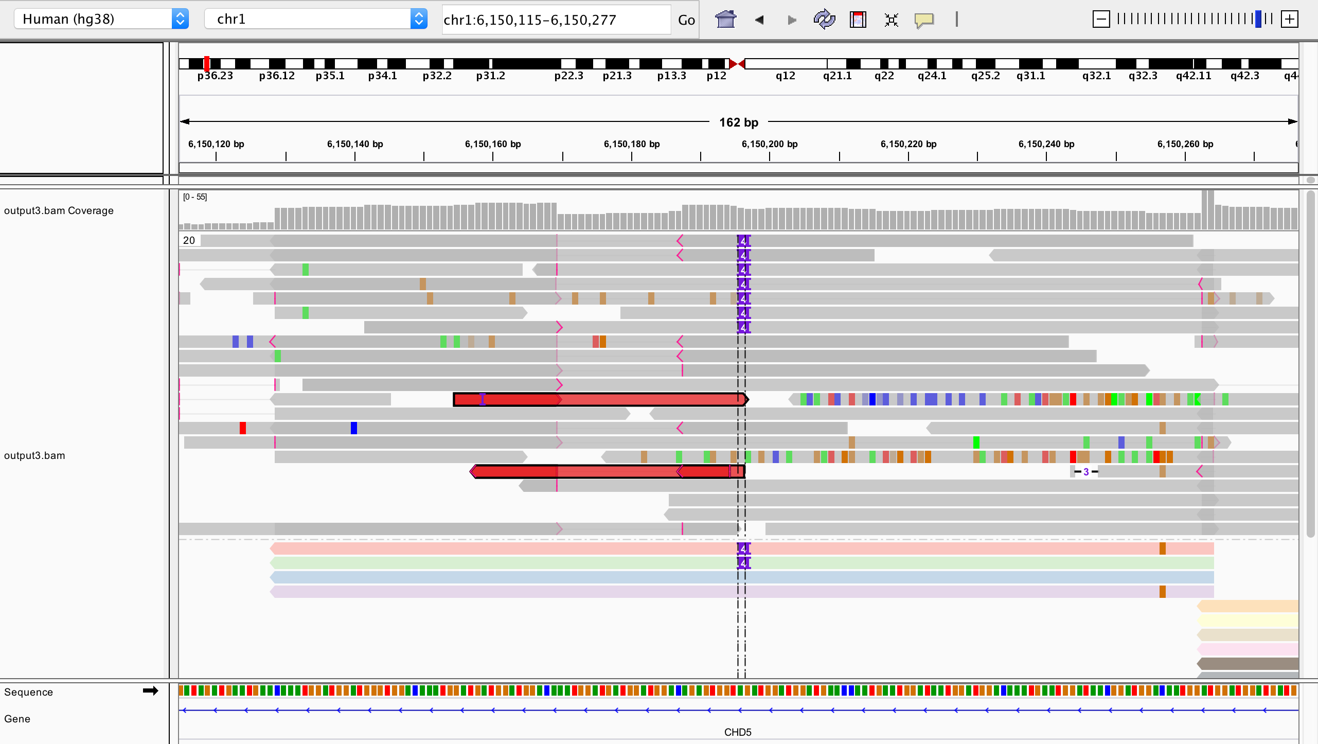 HaplotypeCaller hard clips and base quality (BQ) trims inconsistently ...