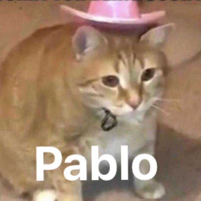 GitHub - Blipshi/pablo-bot-js-v14: pablo.