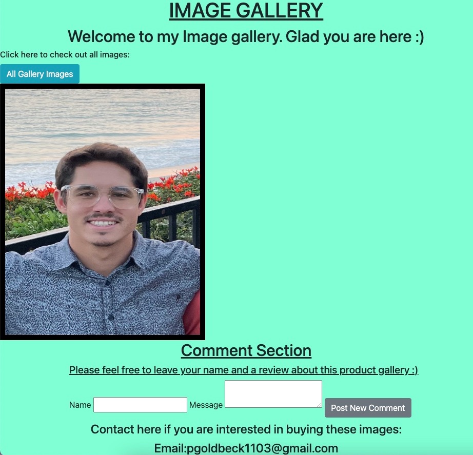 GitHub - piercegoldbeck/New-Full-stack-application-