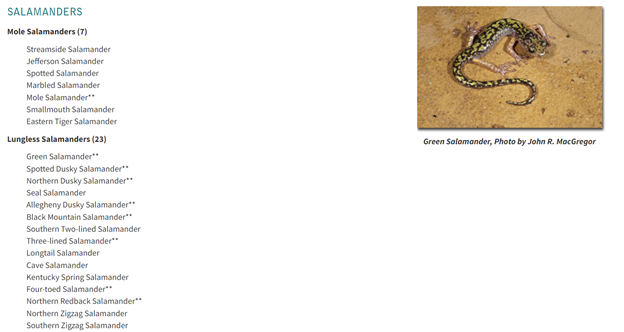 GitHub - jnewman747/salamander-heatmap