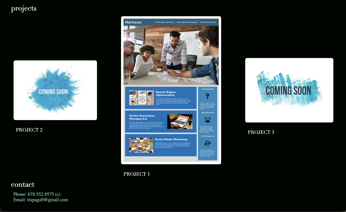 GitHub - ltrapaga/lauras-professional-portfolio