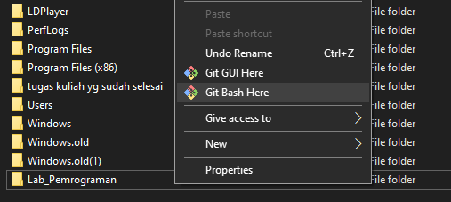 GitHub - VsalCode/Labpy