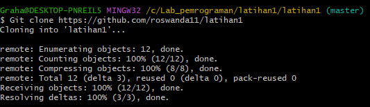 GitHub - roswanda11/latihan1