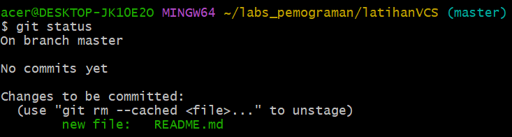 GitHub - Azhyka/LatihanVCS