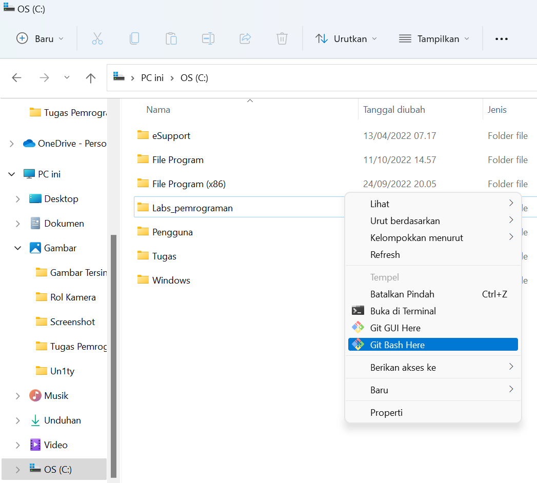 GitHub - rniarzz/Latihan-VCS