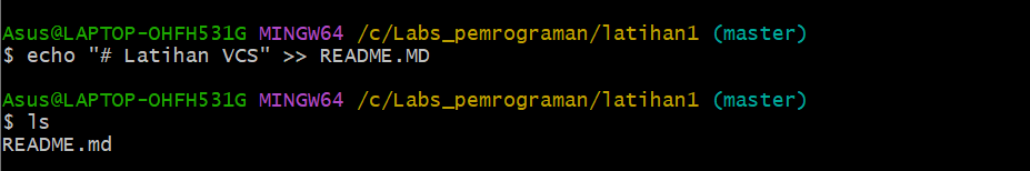 GitHub - rniarzz/Latihan-VCS