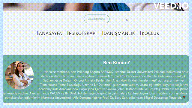 GitHub - Ernozdmr/Personal-Psychology-Website: Personal website with psychology topics.