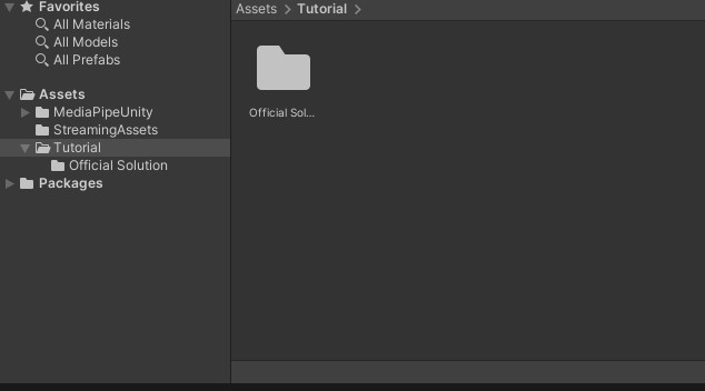 Unity Android apk Export Build Failure On FaceMesh Tutorial but works on Sample FaceMesh · Issue ...