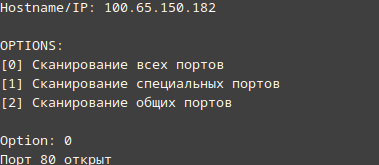 GitHub - versiyaV/portscan