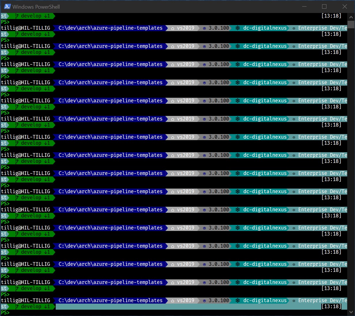 Line wrapping prompt shows "color stripe" · Issue #177 · JanDeDobbeleer/oh-my-posh2 · GitHub