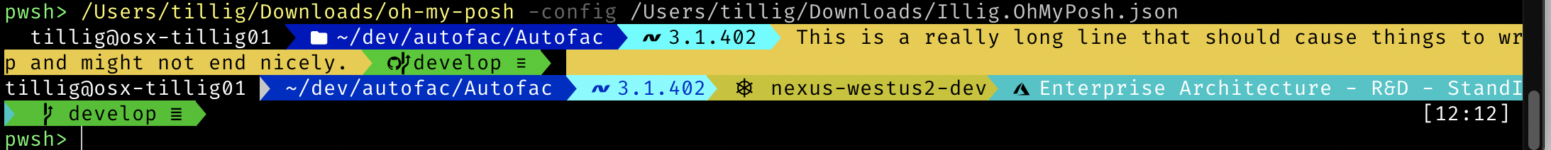 Line wrapping prompt shows "color stripe" · Issue #177 · JanDeDobbeleer/oh-my-posh2 · GitHub