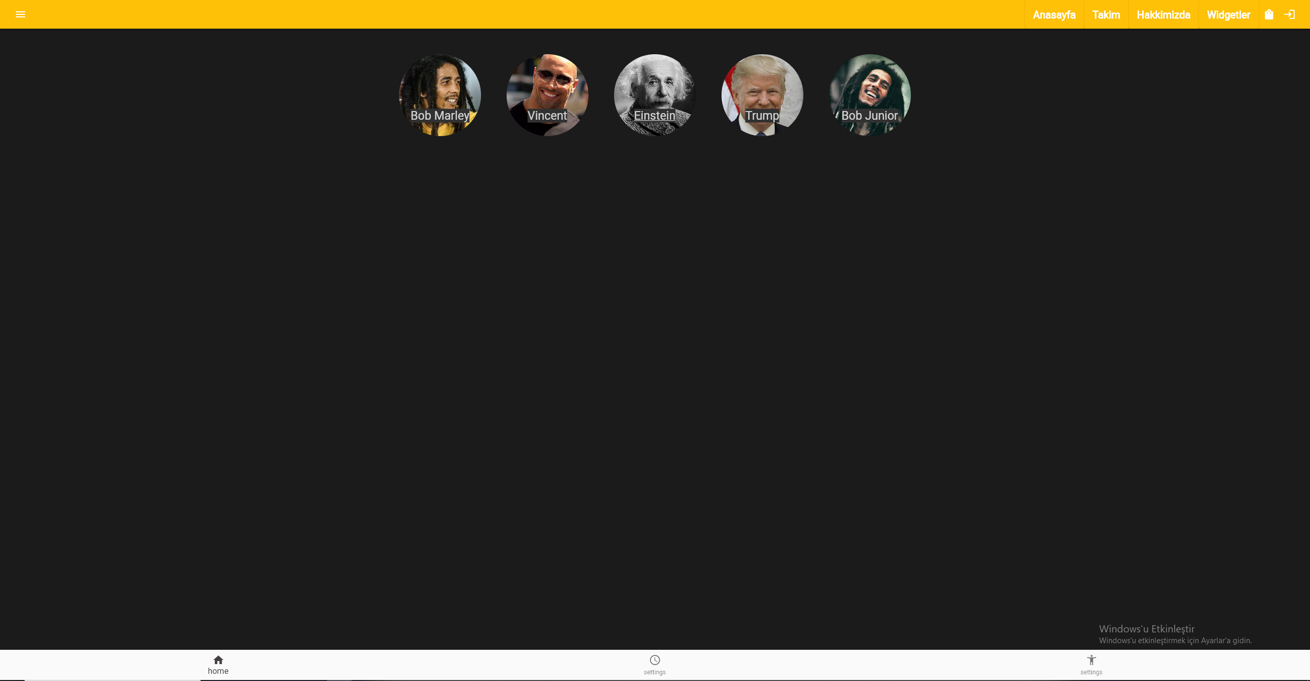 GitHub - MuhammedAkgul/FlutterFinalProject