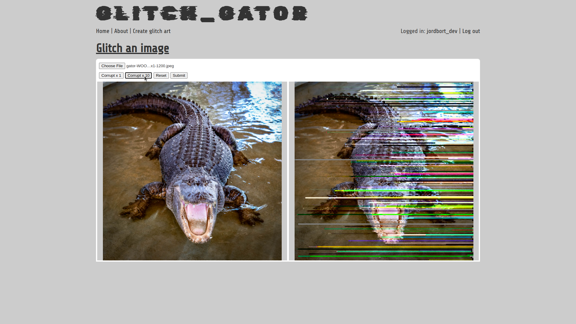 GitHub - jordbort/capstone-glitch_generator