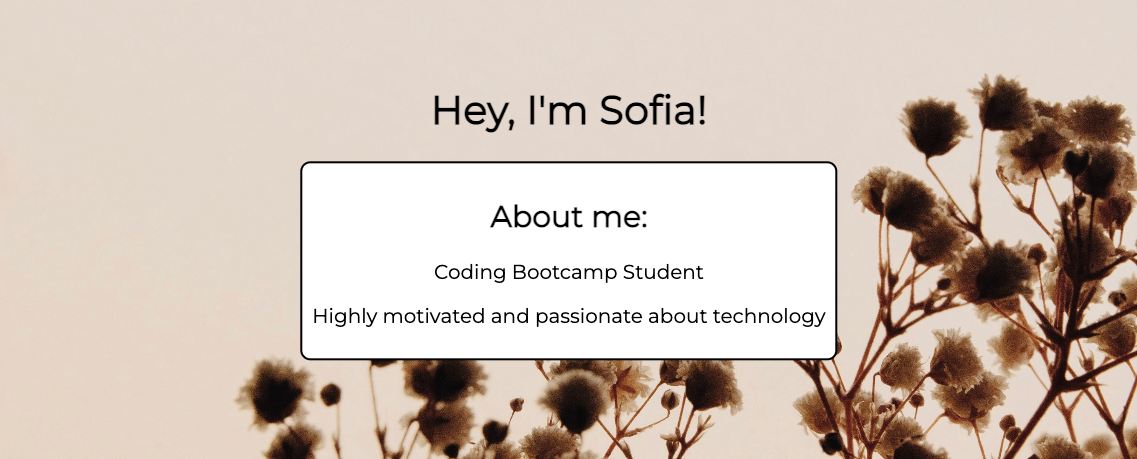 sofiasosa92 (Sofia Sosa) · GitHub