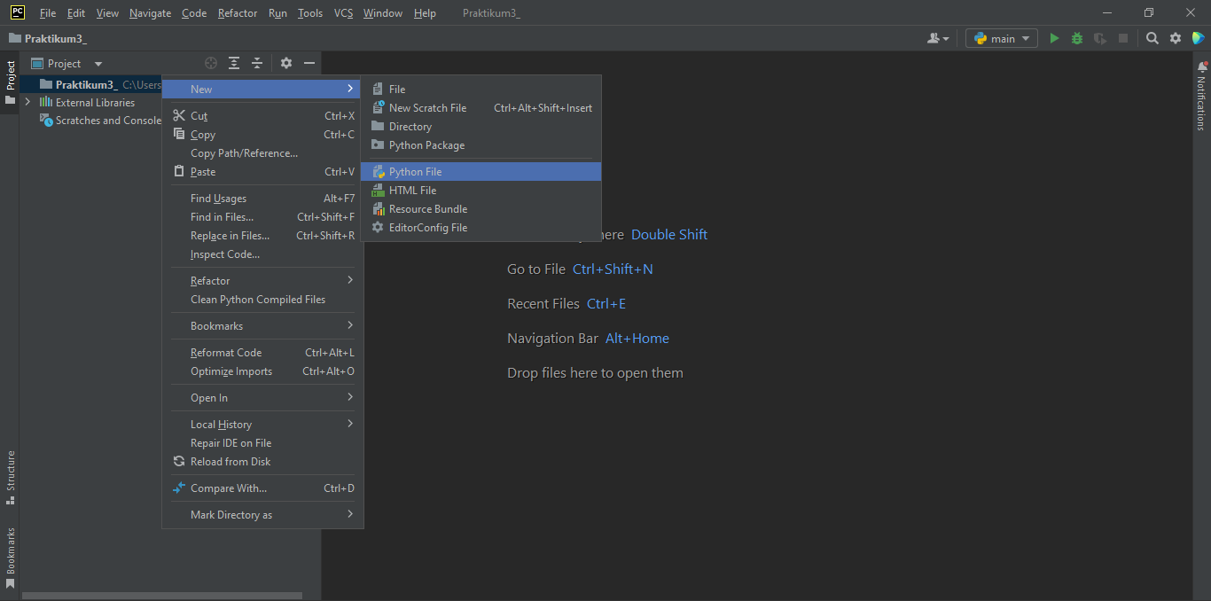 GitHub - danur77/Praktikum3