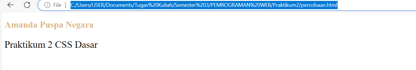 GitHub - amandaaaapn/Lab2Web
