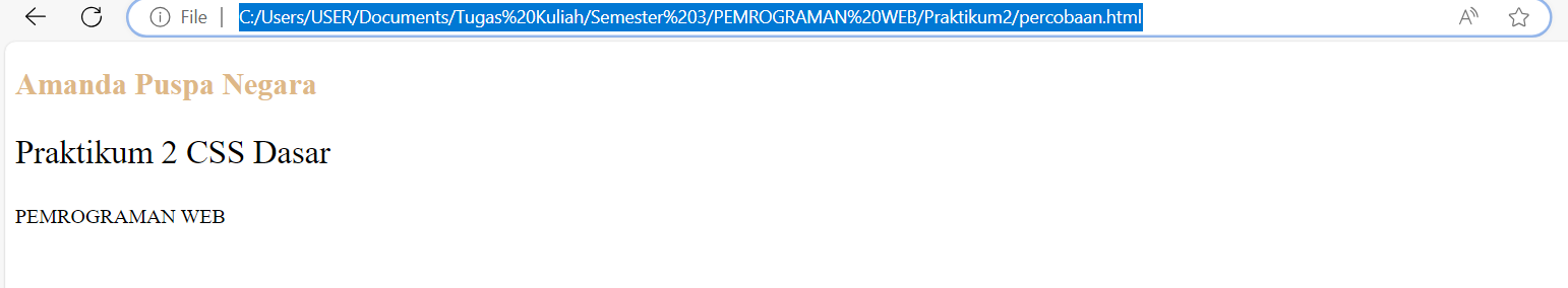 GitHub - amandaaaapn/Lab2Web