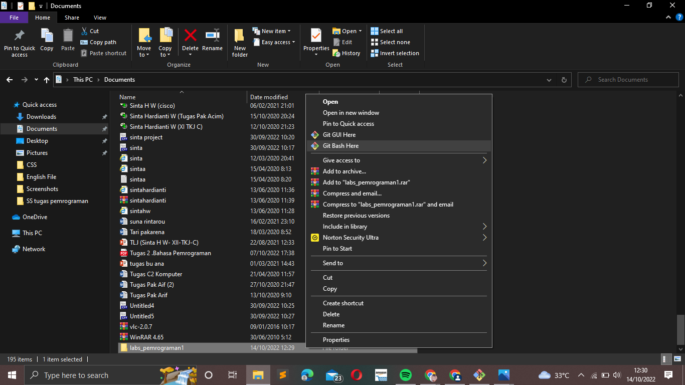 GitHub - avrillianur20/latihan_vcs
