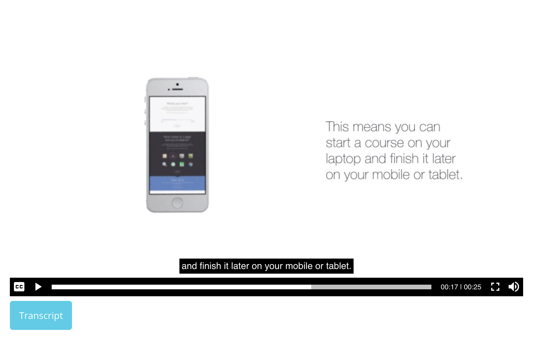 adapt-contrib-vanilla - Update media player control to use rems + customisable icons · Issue ...