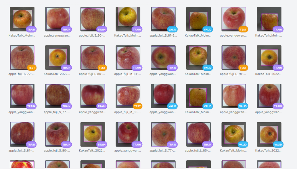 GitHub - YT0602/Capstone