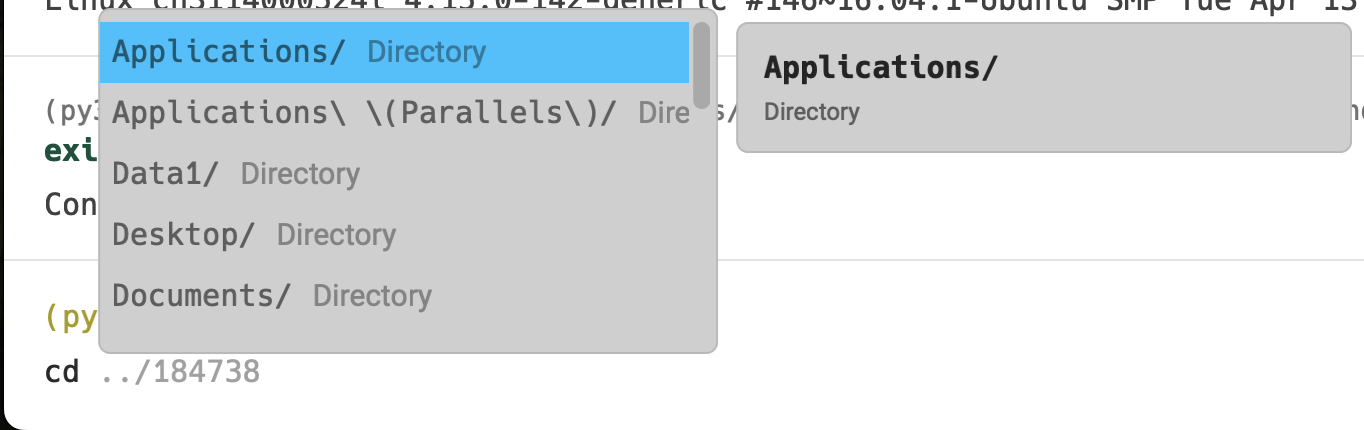 Autocompletion Doesnt Works If Not In The Root Directory Within The Remote Session · Issue