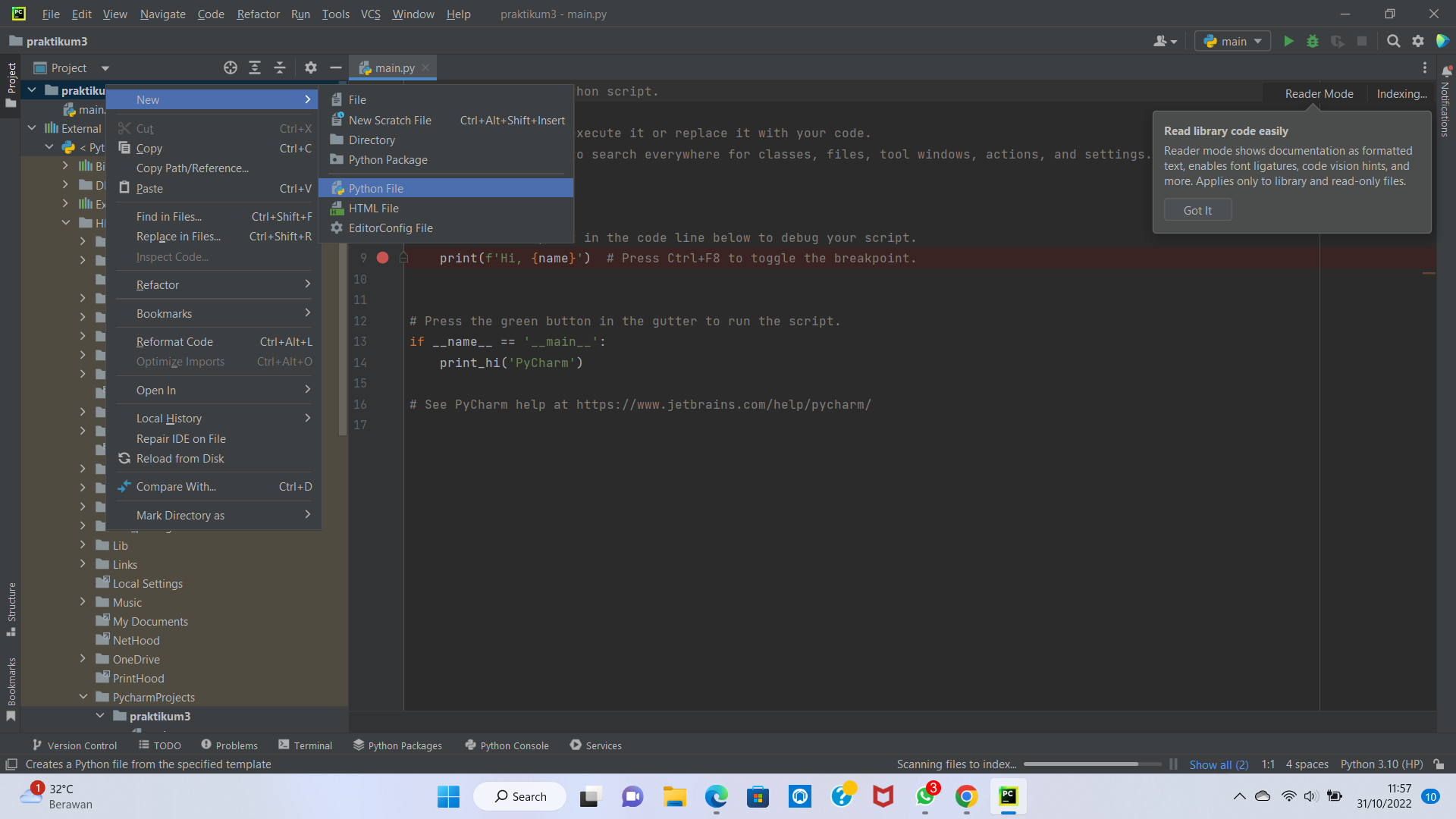 GitHub - amandaaaapn/praktikum3-1