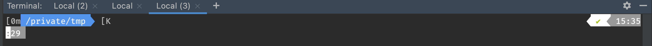 Powerlevel10k suddenly become broken in JetBrains IDE terminal · Issue #1128 · romkatv ...