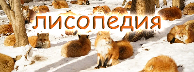 GitHub - Lisoferma/FoxDataBase: Лисопедия