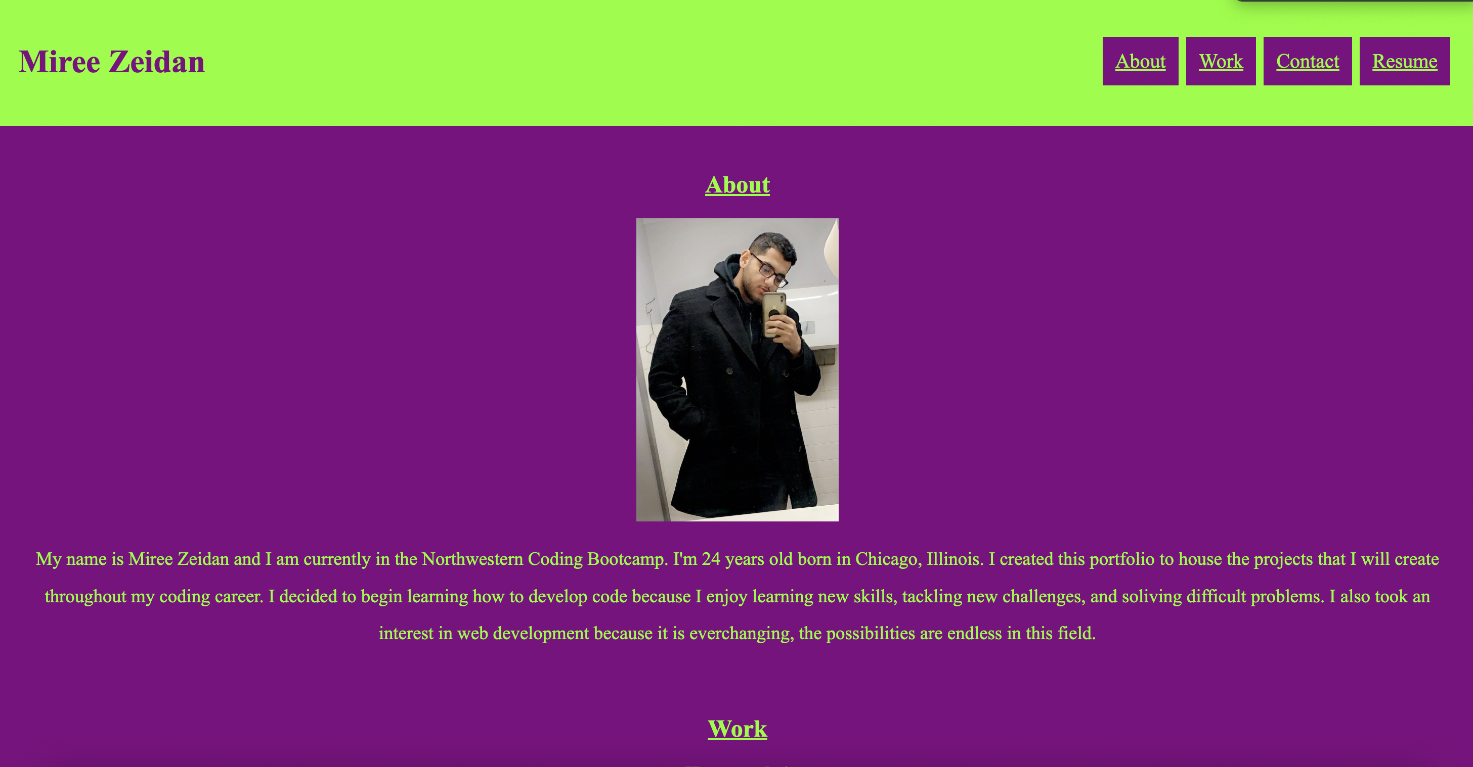 GitHub - mireezeidan/portfolio: I am miree