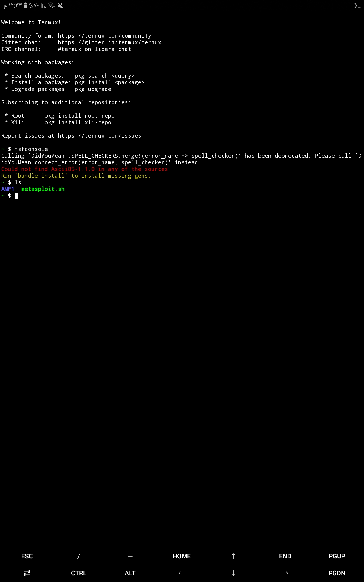 [BUG] · Issue #200 · gushmazuko/metasploit_in_termux · GitHub