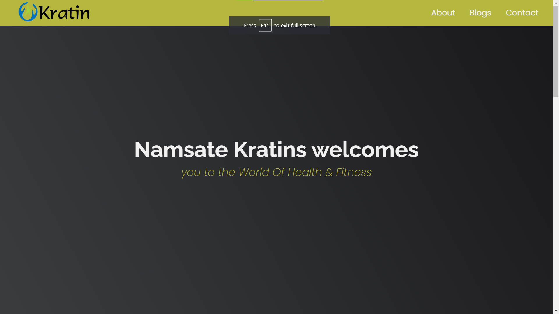 GitHub - Akvishen/Kratin-project