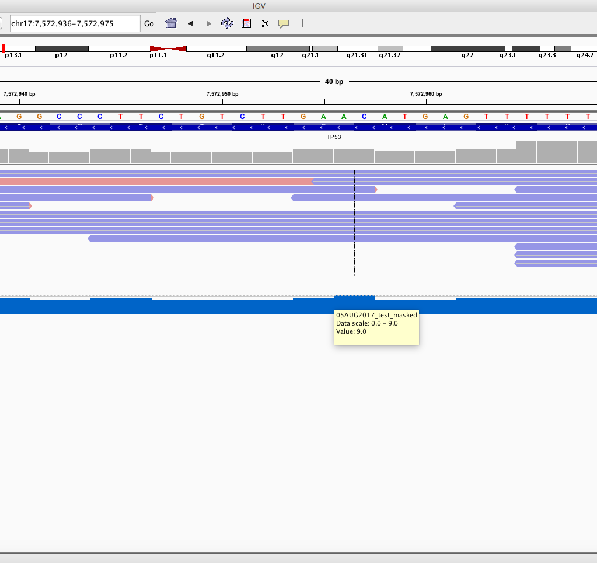 samtools v1.4.1 mpileup -x option detection criteria · Issue #714 · samtools/samtools · GitHub