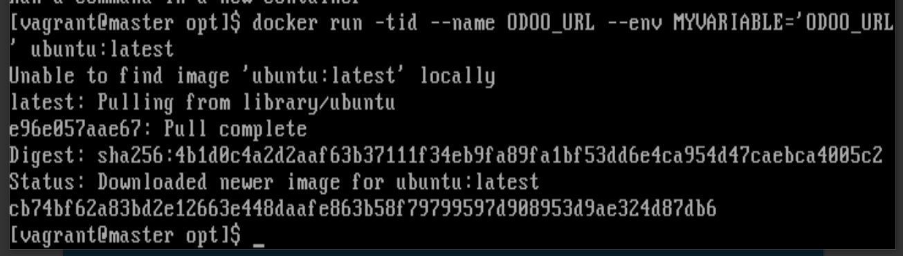 GitHub - GuilhemANG/devoir-docker