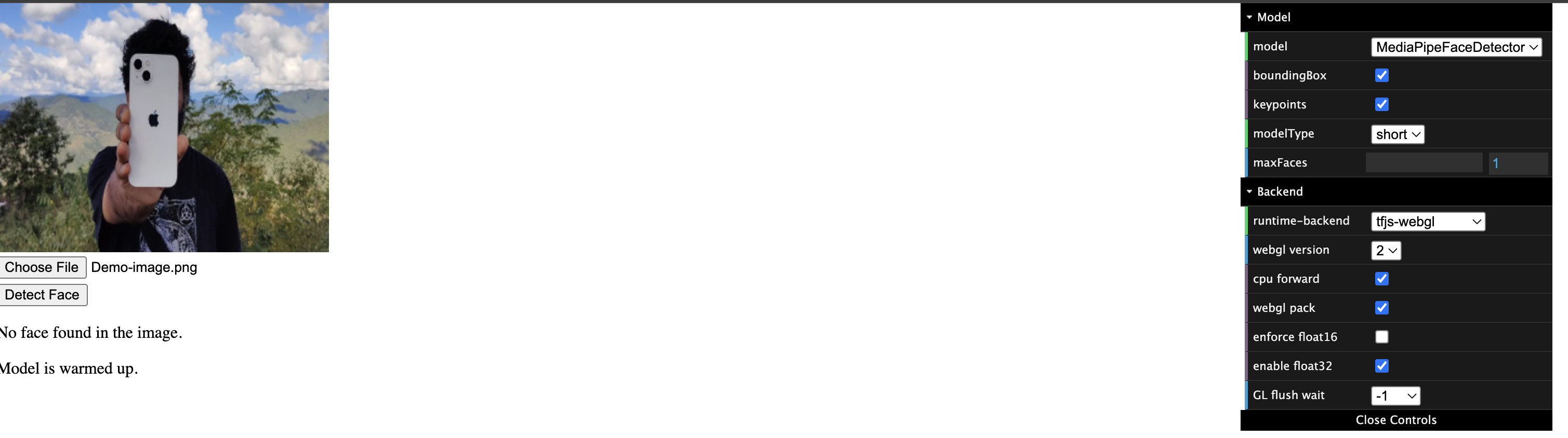 Blazeface result is not correct on WASM backend · Issue #5490 · tensorflow/tfjs · GitHub
