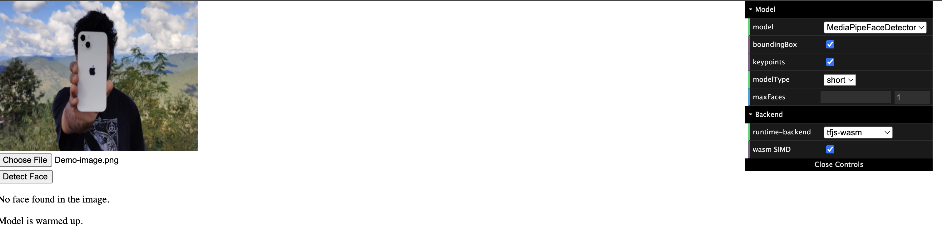 Blazeface result is not correct on WASM backend · Issue #5490 · tensorflow/tfjs · GitHub