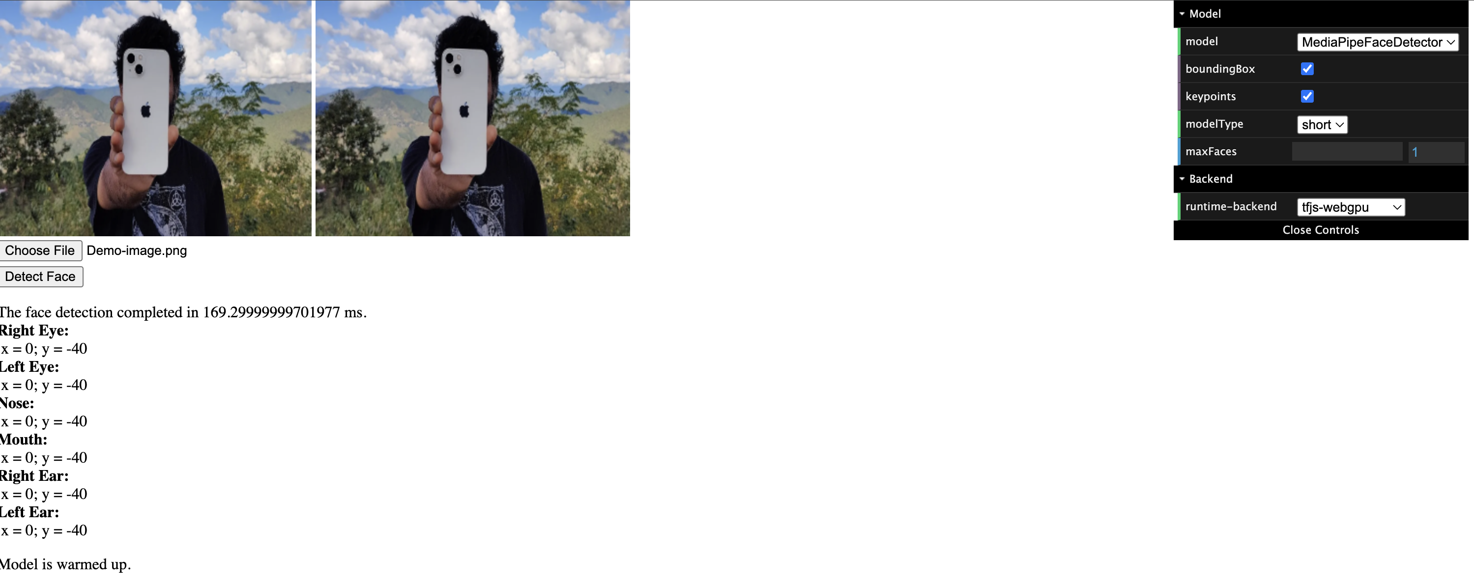 Blazeface result is not correct on WASM backend · Issue #5490 · tensorflow/tfjs · GitHub