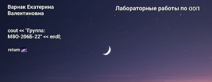 Github Hsbnn Lrooplabs