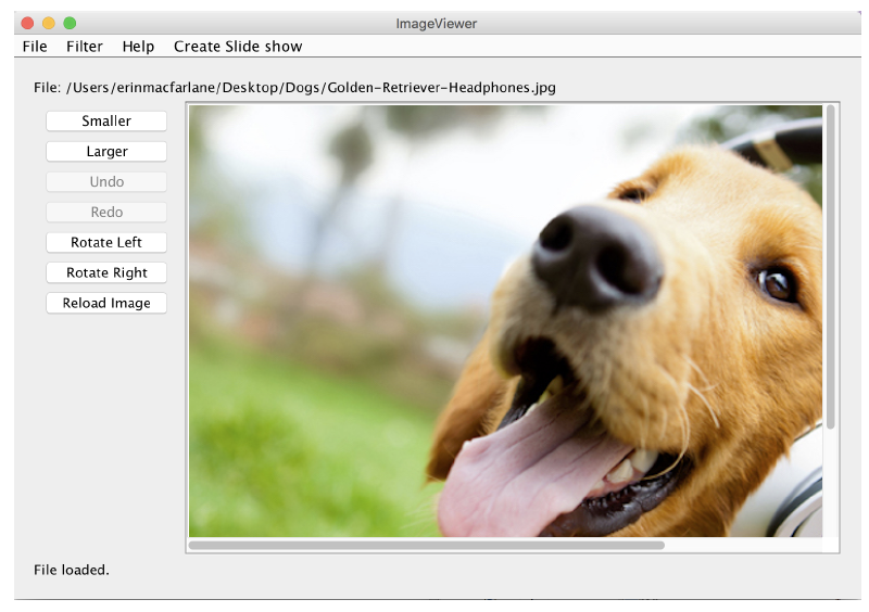 GitHub - erinmacfarlane99/CS105-ImageViewerExemptionProject: An ImageViewer system to view and ...