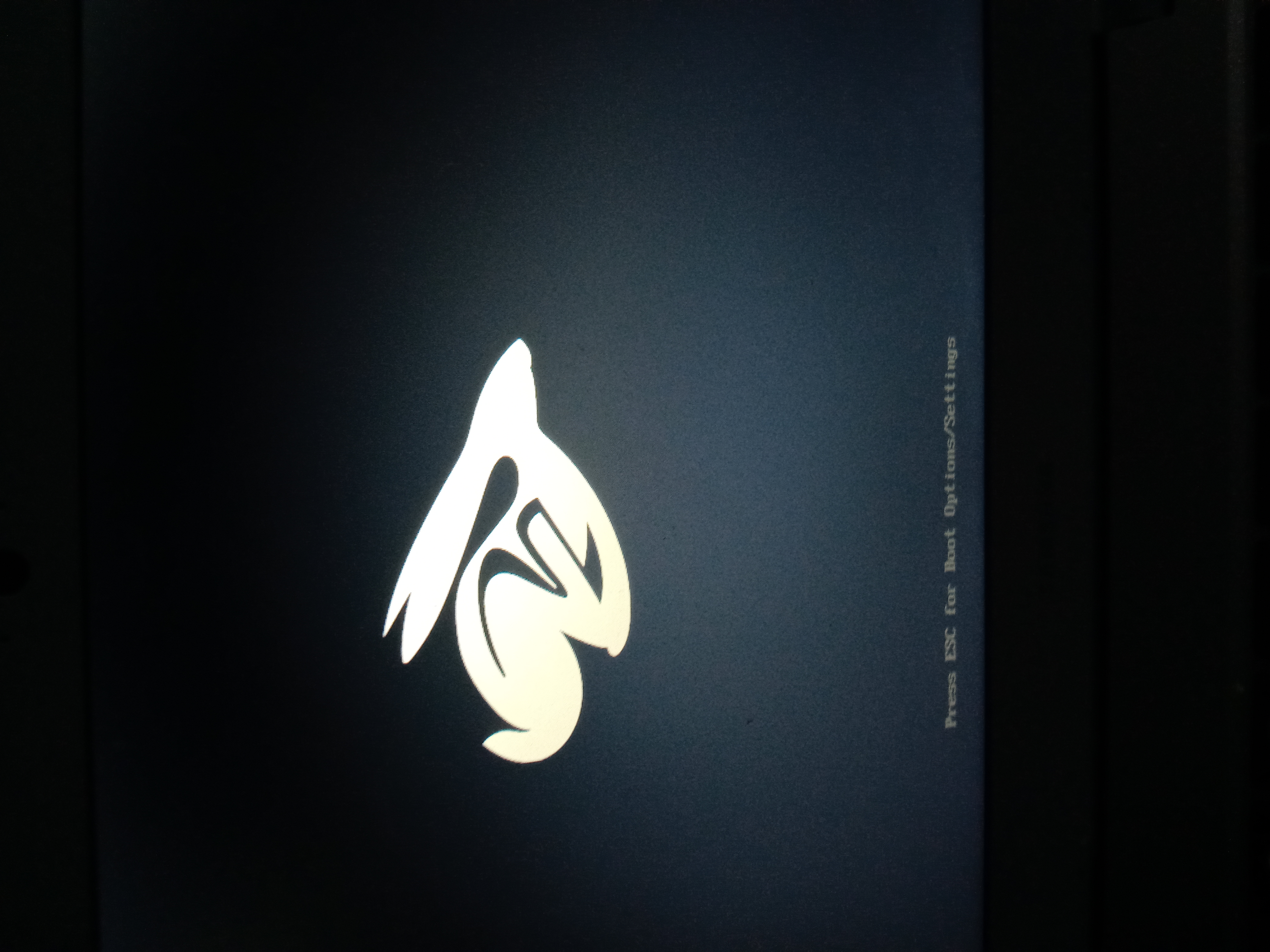 Is this a legacy bios or uefi bios? · Issue #265 · MrChromebox/scripts · GitHub