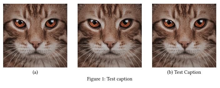 Subfigures · Issue #246 · typst/typst · GitHub