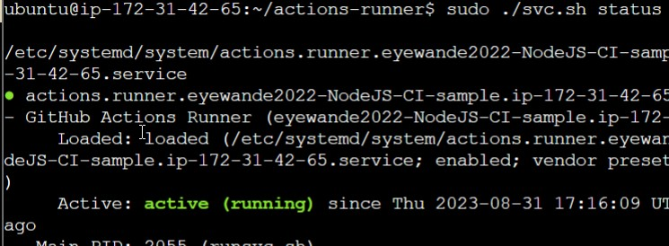 GitHub - eyewande2022/NodeJS-CI-sample