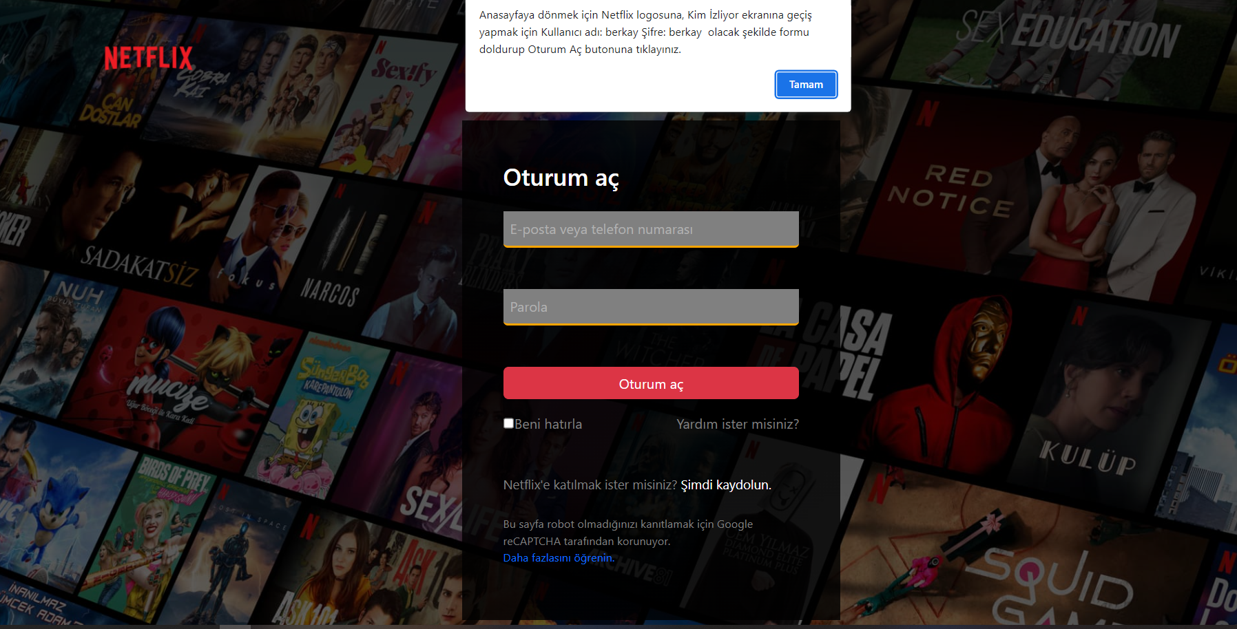 GitHub - berkayozbb/netflix