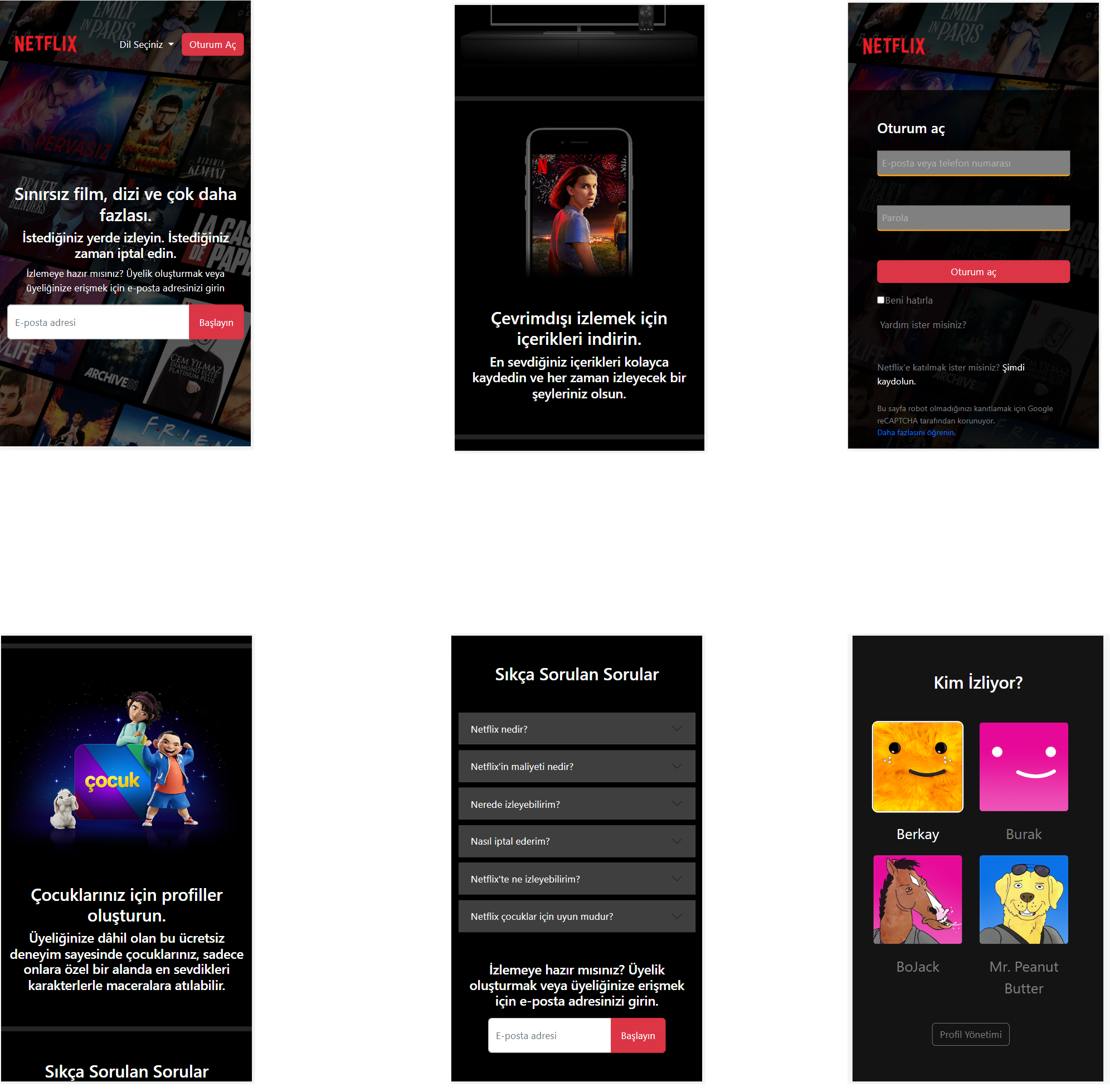 GitHub - berkayozbb/netflix