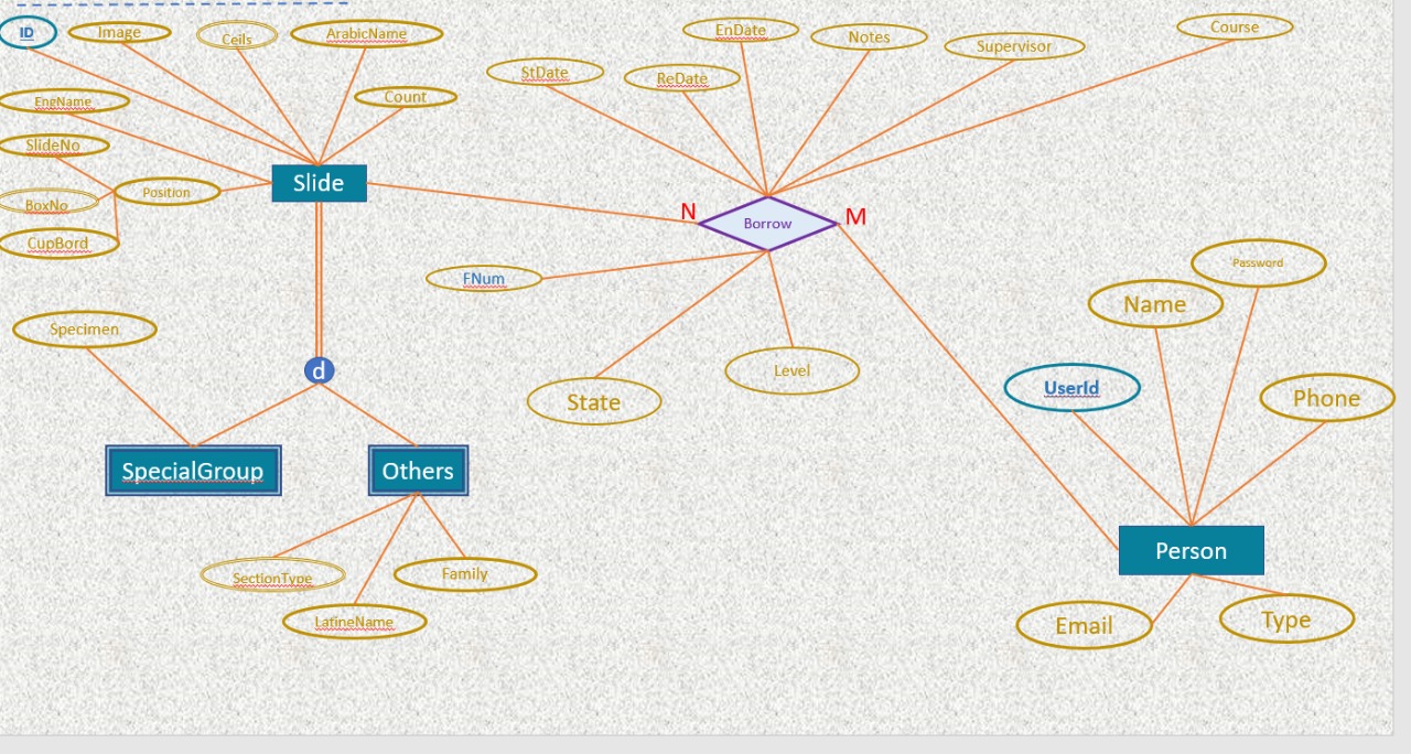 GitHub - hagar-abdelaliem/graduation_project